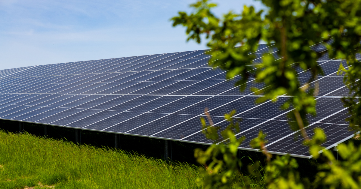 Nu er Øst­­jyllands største solcelle­park indviet